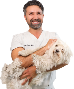 About Dr. Wissam Fayad | VIA Health & Medspa in Chandler, AZ